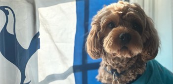 Dog of the Match | Southampton | Tottenham Hotspur
