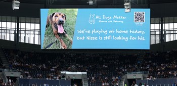 Dog of the Match – Arsenal | Tottenham Hotspur